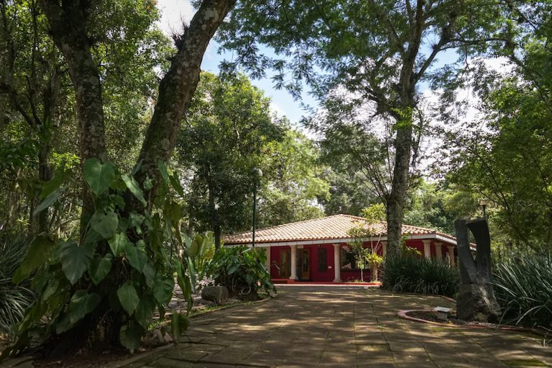 Los catálogos digitales: El mundo es un jardín y Artistas del JEX - Revista TUK