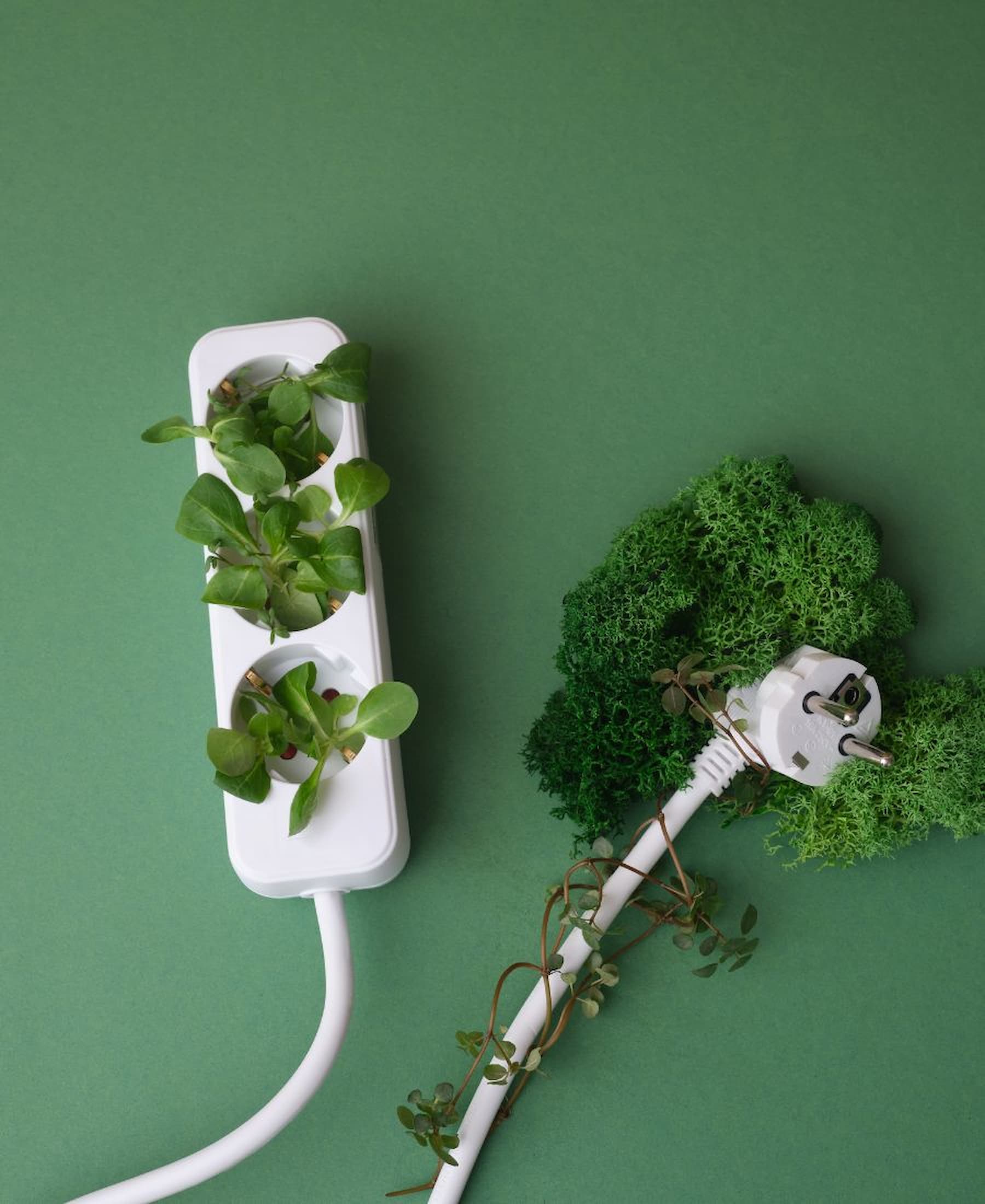 En vías de una transición energética verde - Revista TUK